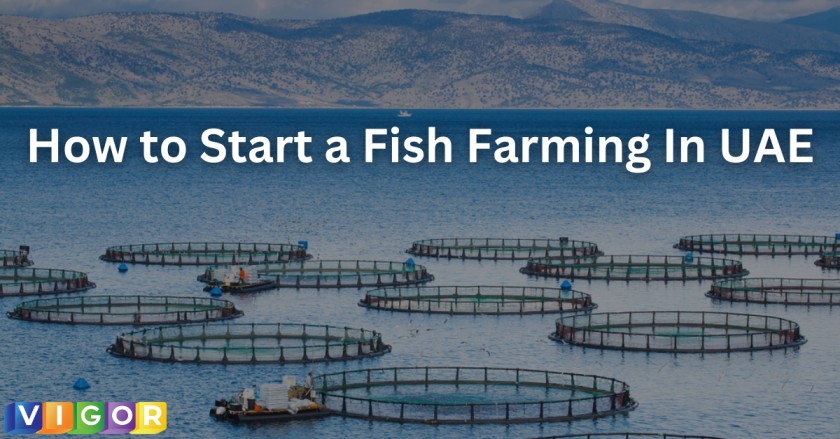 How to Start a Fish Farming In UAE- Definitive Guide - Dubai Business Setup